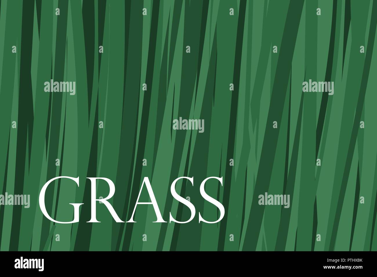 Vector grass background. Abstract grass texture. Floral summer ...