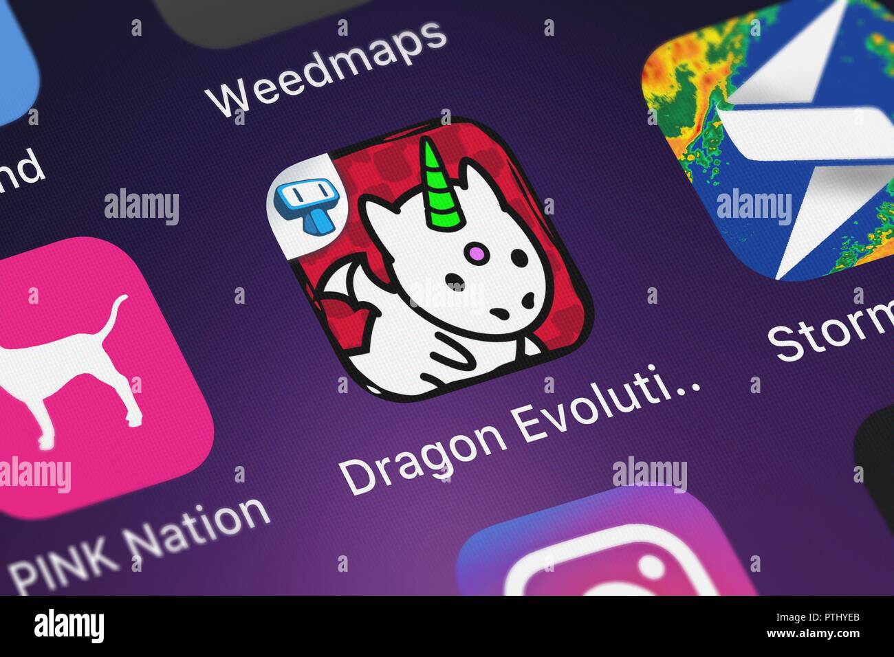 Dragon Evolve App