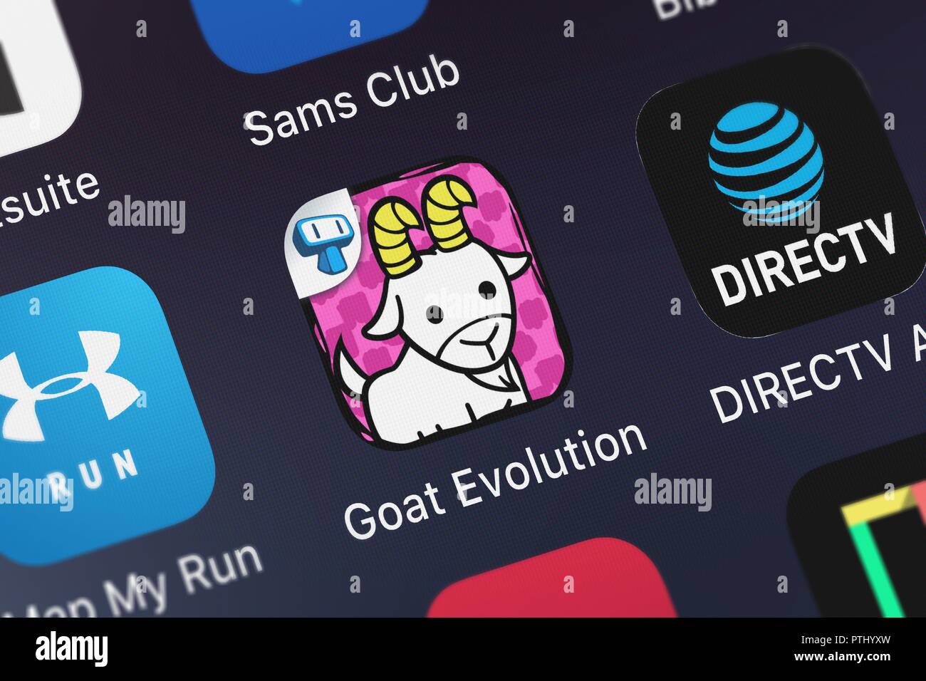 Goat evolution hi-res stock photography and images - Alamy