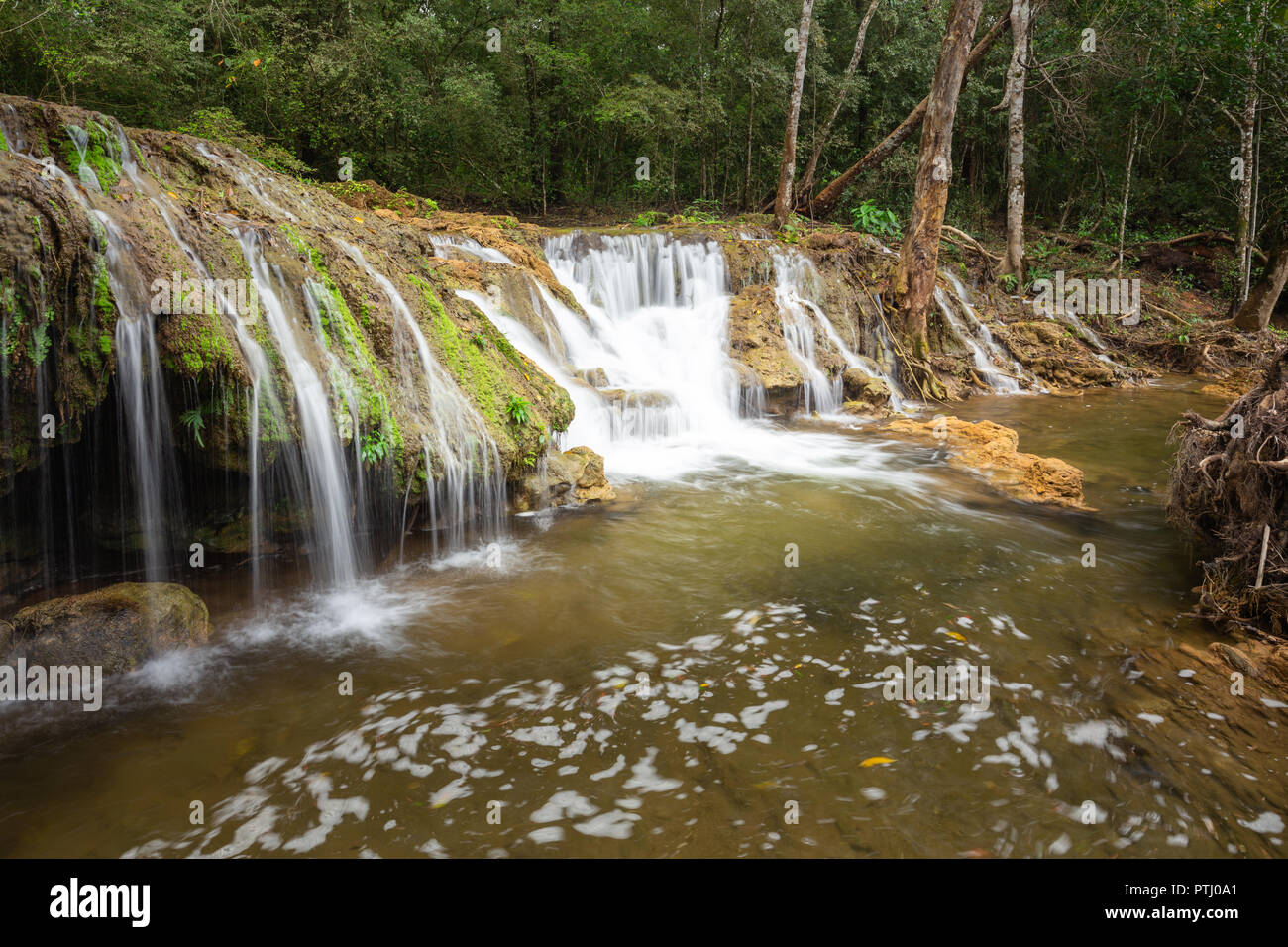 beautiful waterfall in a rainforest / landscape Stock Photo - Alamy