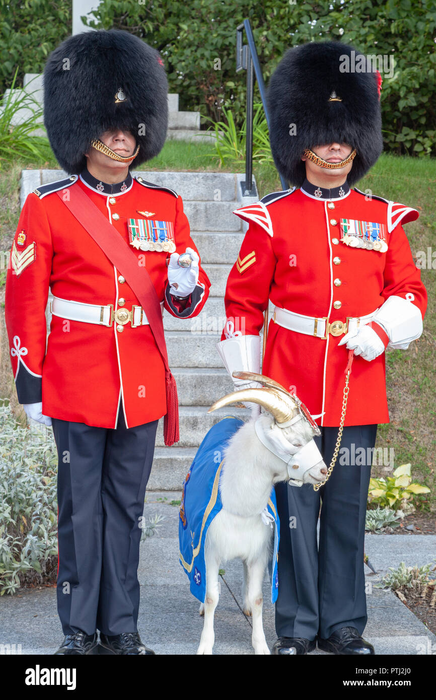 2012 the soldiers hi-res stock photography and images - Alamy