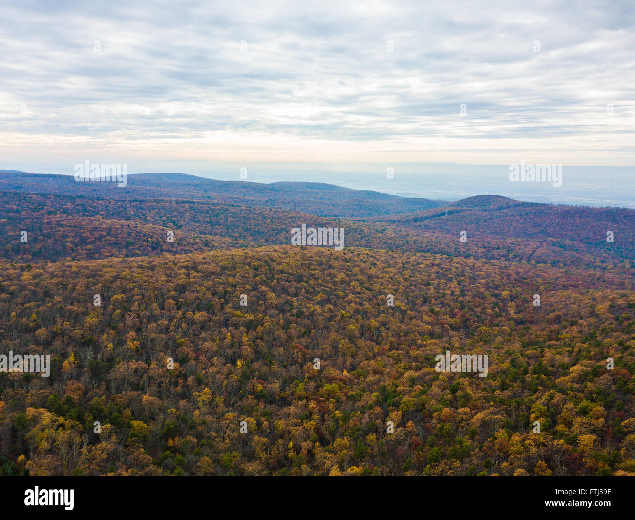 Aerial of Michaux State Forest in Pennsylvania During Fall in the ...