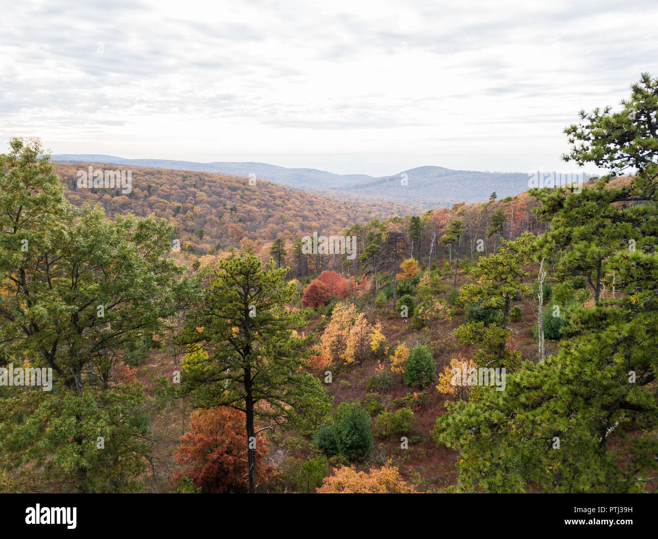 Michaux state forest hi-res stock photography and images - Alamy