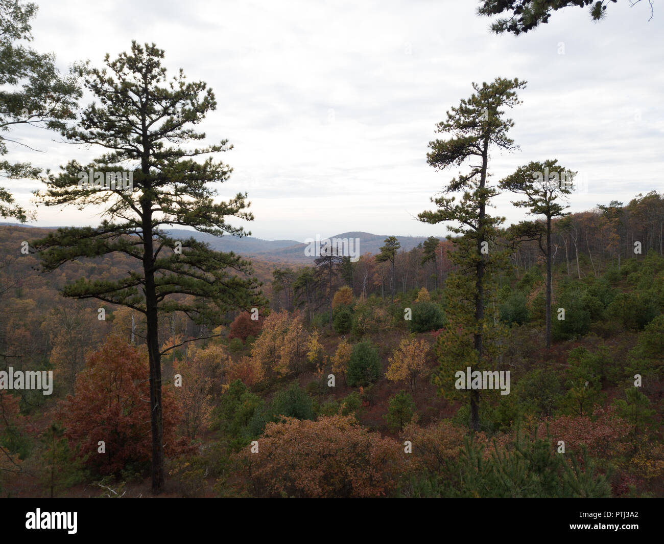 Michaux state park hi-res stock photography and images - Alamy