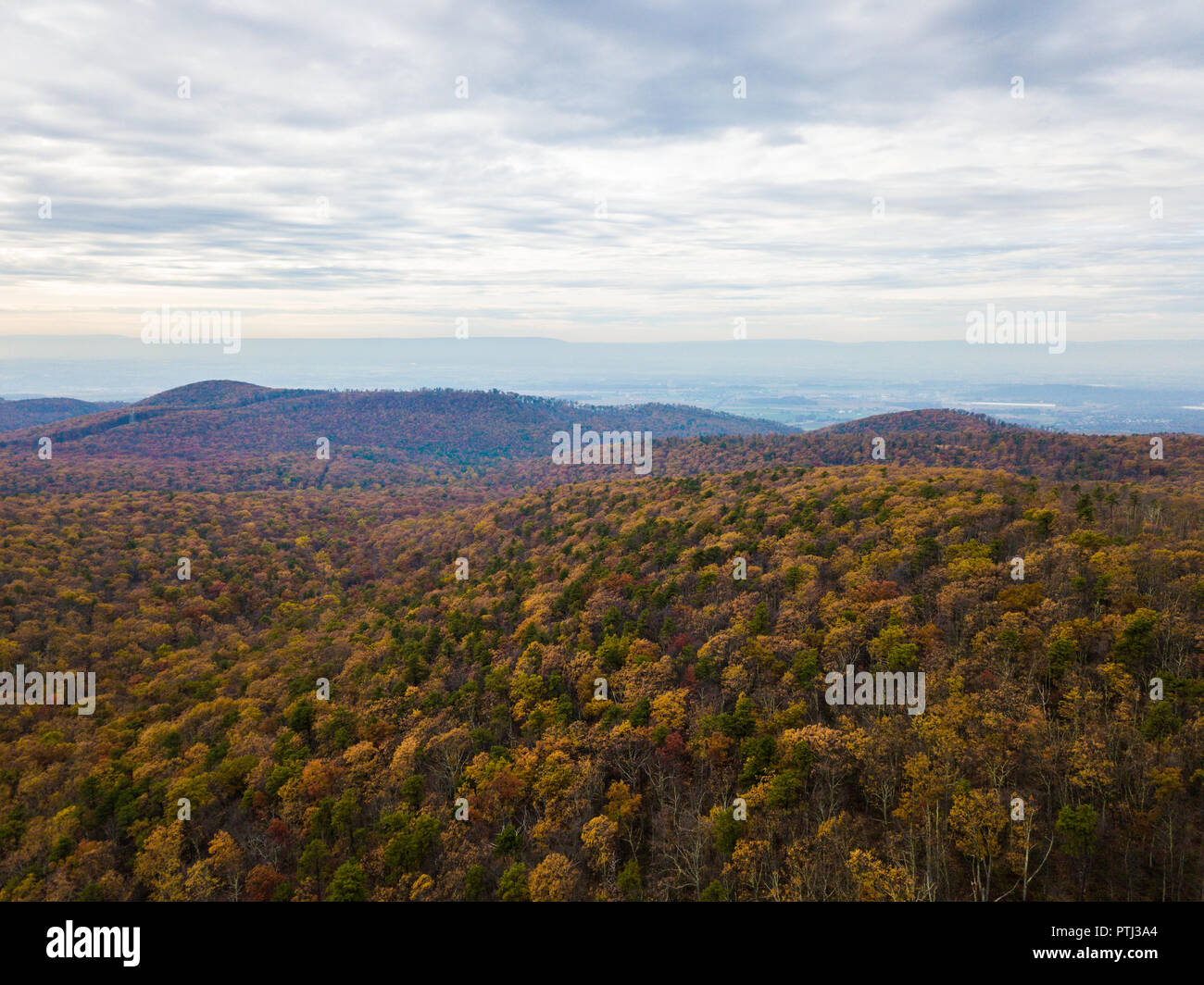 Michaux state park hi-res stock photography and images - Alamy