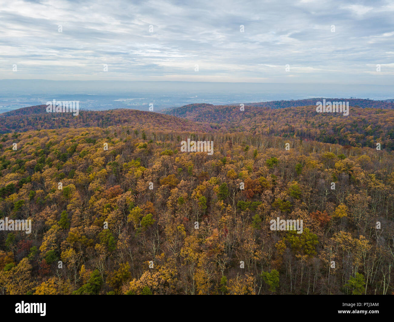 Aerial of Michaux State Forest in Pennsylvania During Fall in the ...