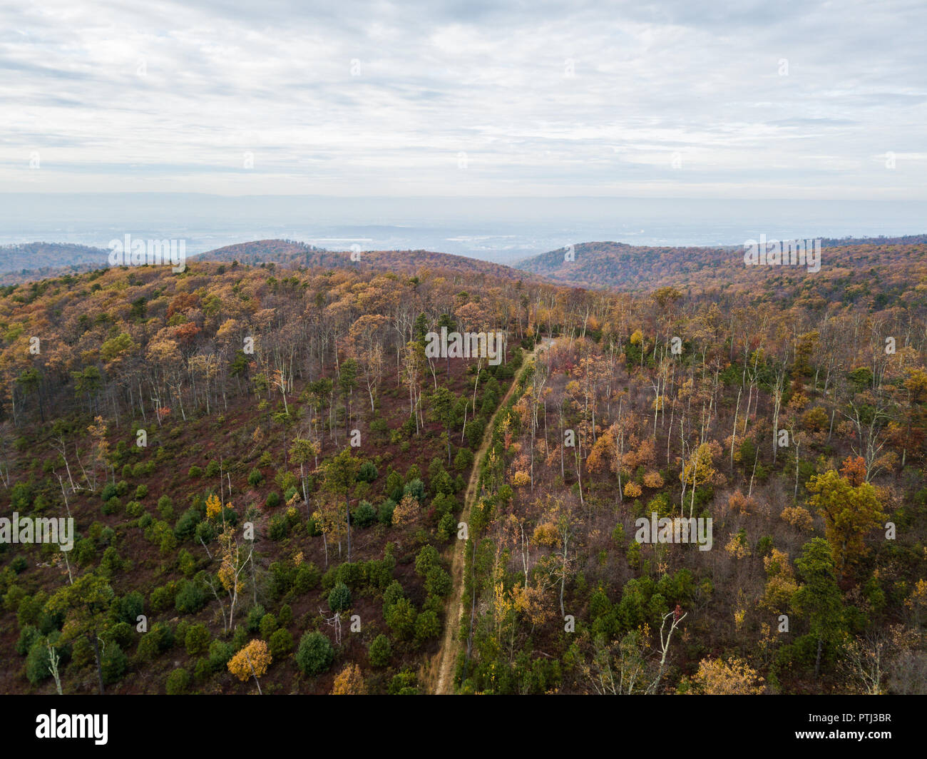 Aerial of Michaux State Forest in Pennsylvania During Fall in the ...