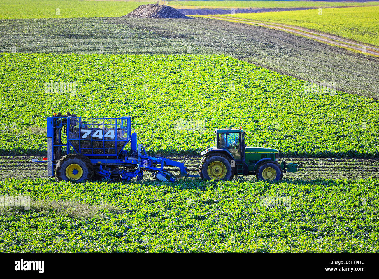 Salo, Finland - October 7, 2018: Farmer harvests sugar beet with John ...