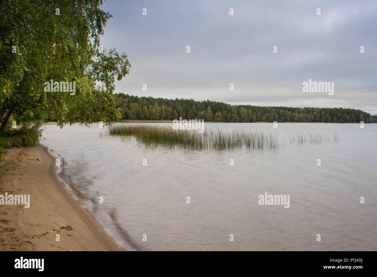 Early morning at Lake Visaginas, Lithuania Stock Photo - Alamy
