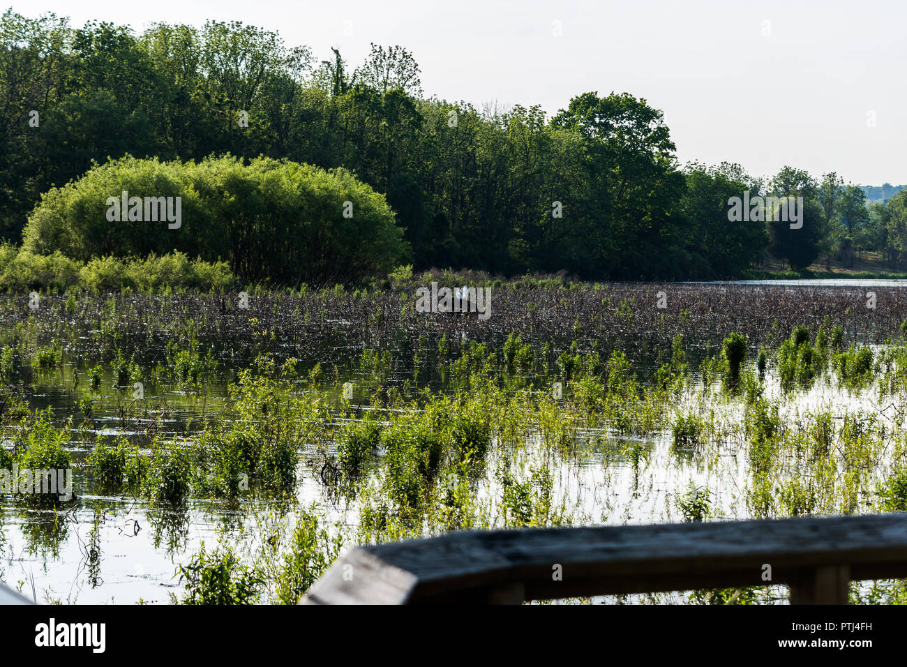 Lake Redman High Resolution Stock Photography and Images - Alamy