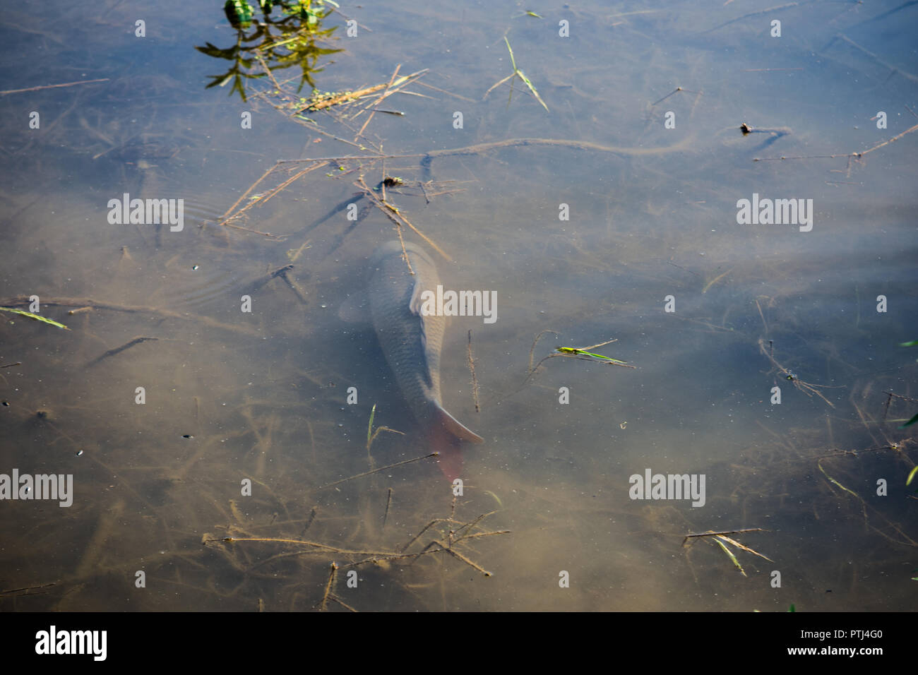 Lake redman hi-res stock photography and images - Alamy