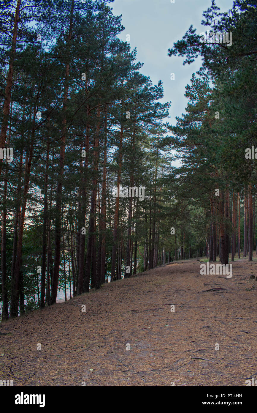 Early morning at Lake Visaginas, Lithuania Stock Photo - Alamy