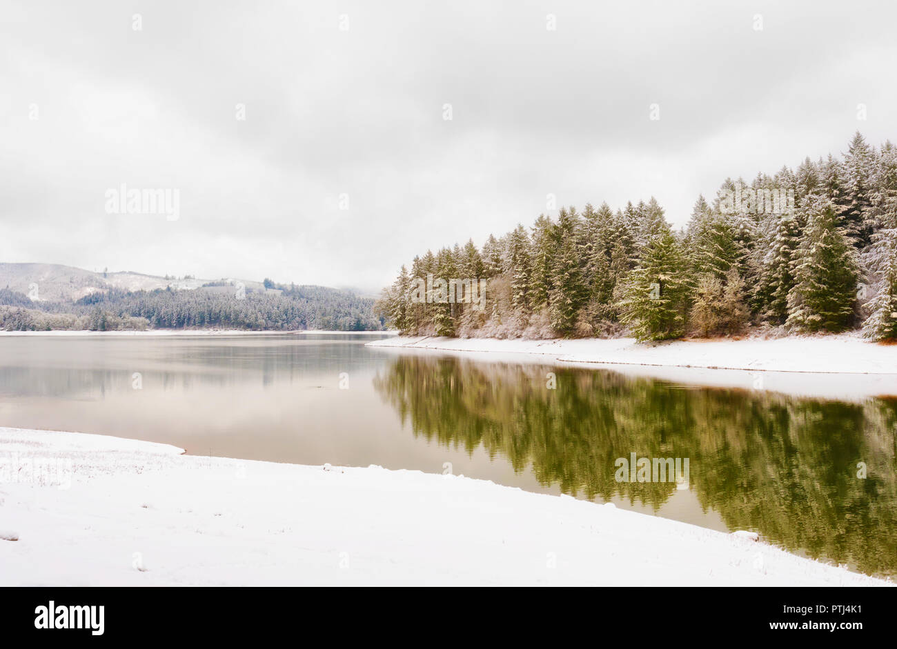 Winter landscape seen along the shores of Henry Hagg Lake in Oregon's ...