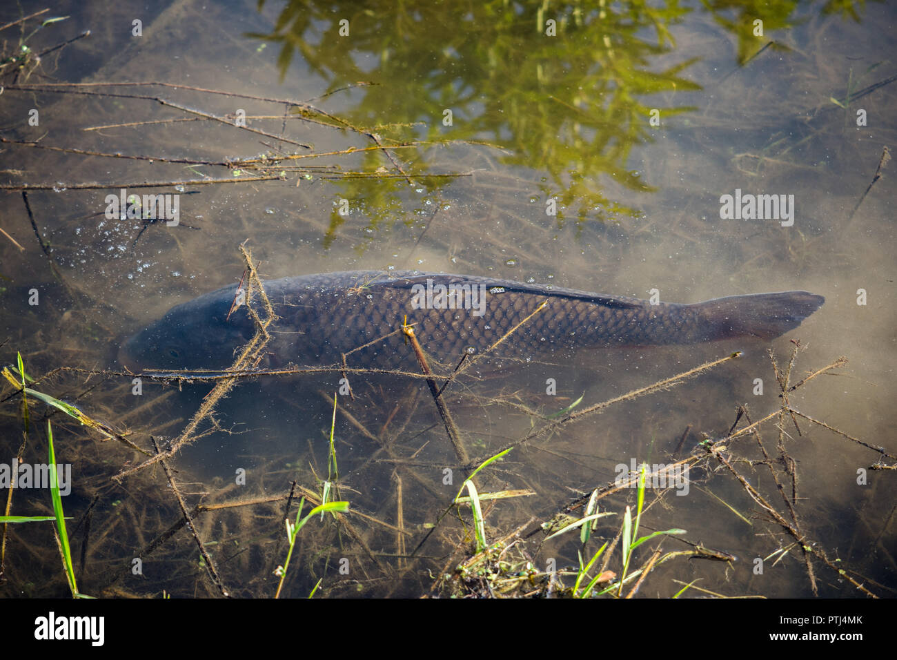 Lake redman hi-res stock photography and images - Alamy