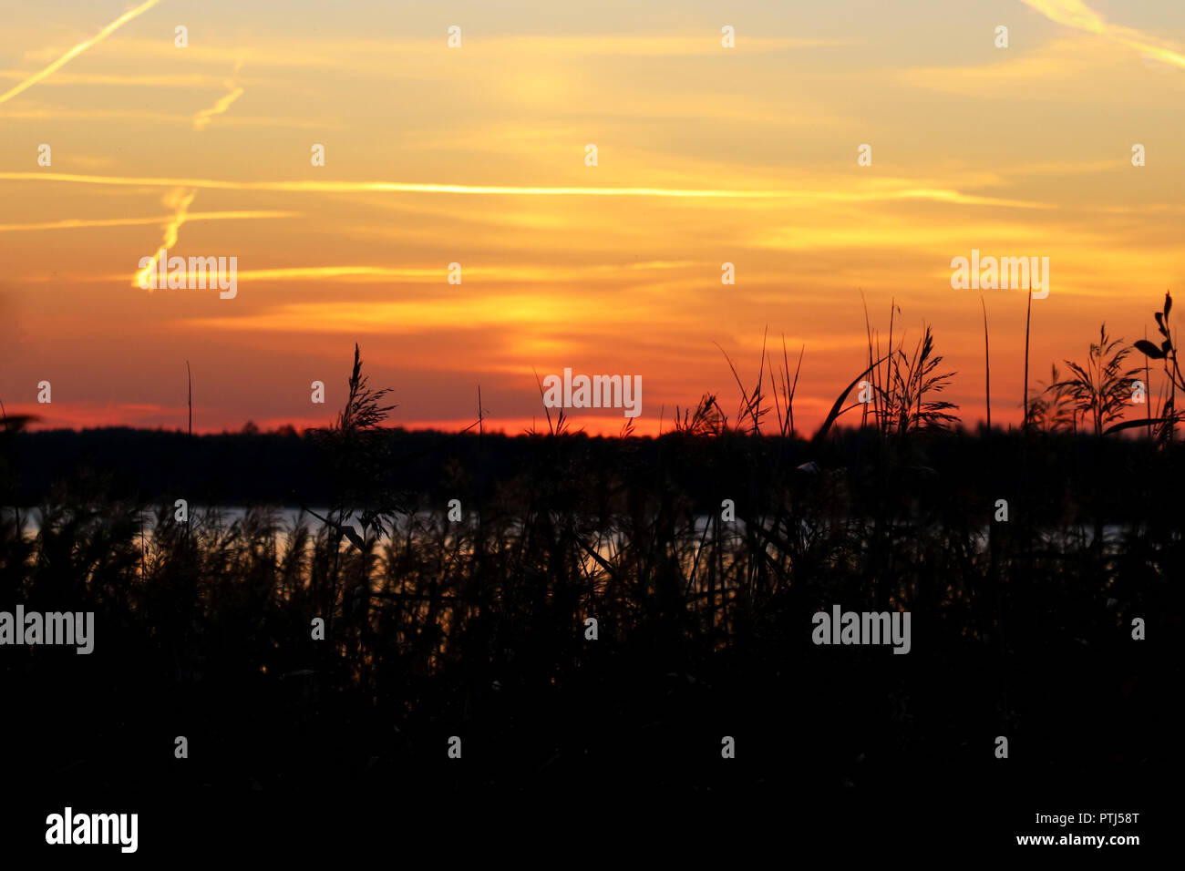 Sunset grass hi-res stock photography and images - Alamy