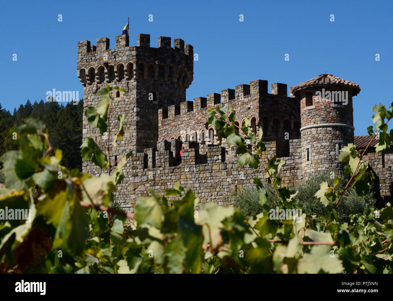 Castello di amorosa hi-res stock photography and images - Alamy