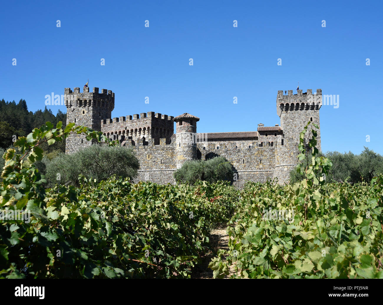 Castello di amorosa hi-res stock photography and images - Alamy