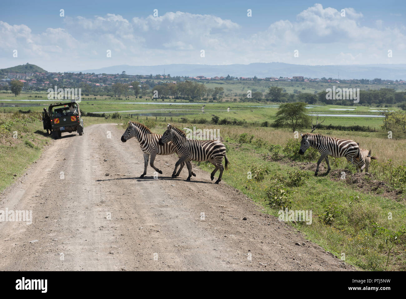African park rangers hi-res stock photography and images - Alamy