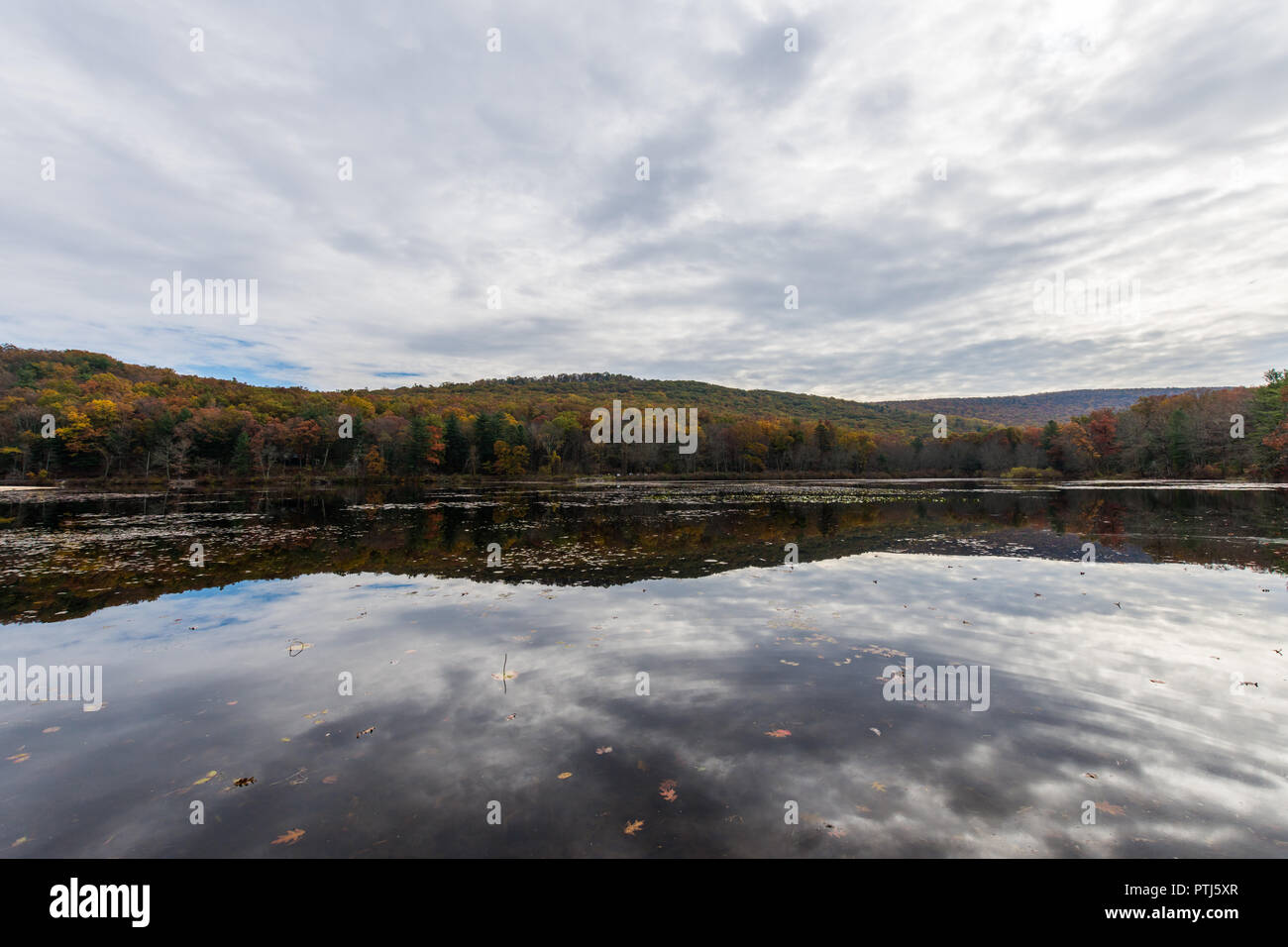 Laurel Lake Recreational Area in Pine Grove Furnace State Park in ...