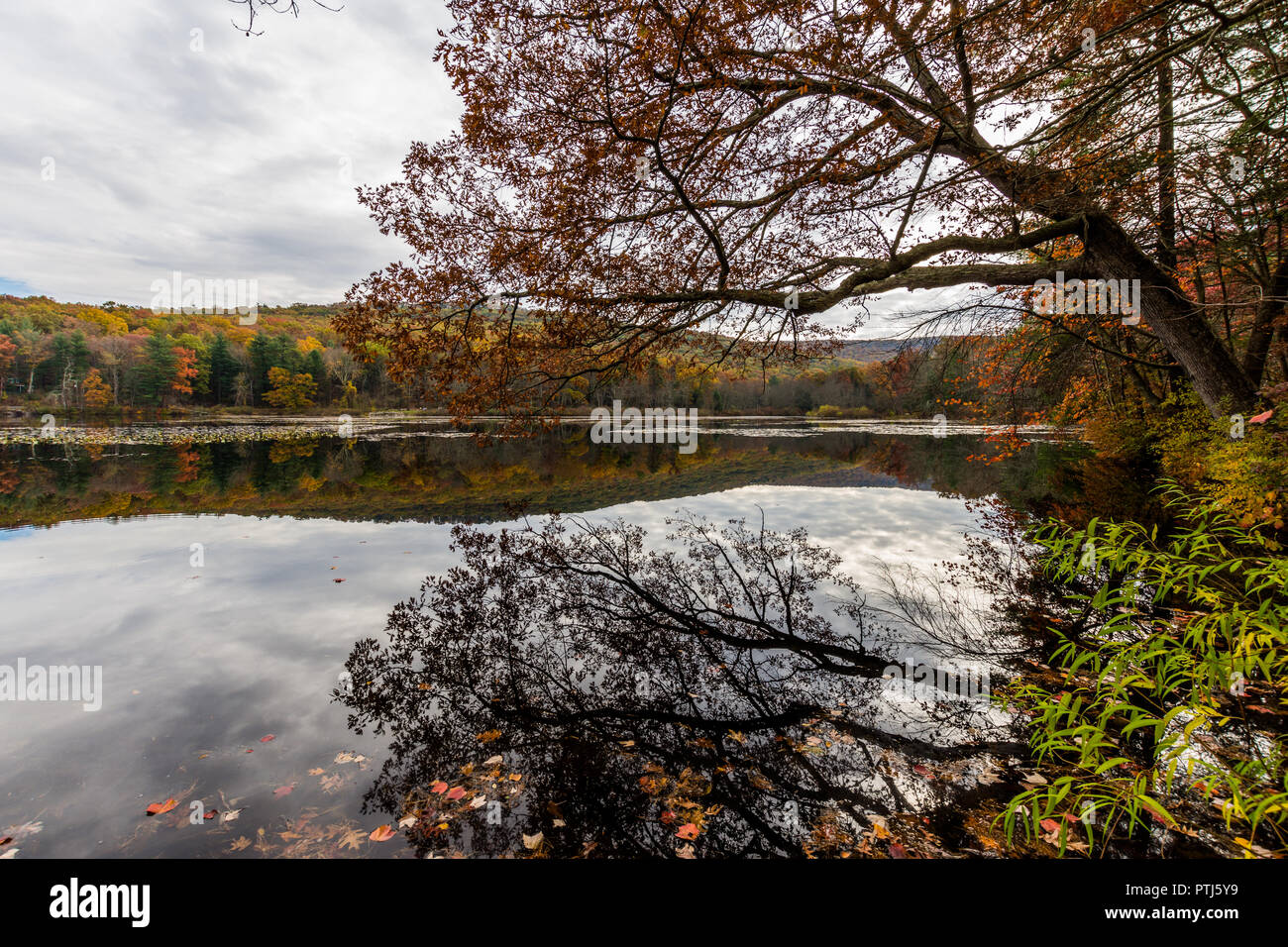 Laurel Lake Recreational Area in Pine Grove Furnace State Park in ...