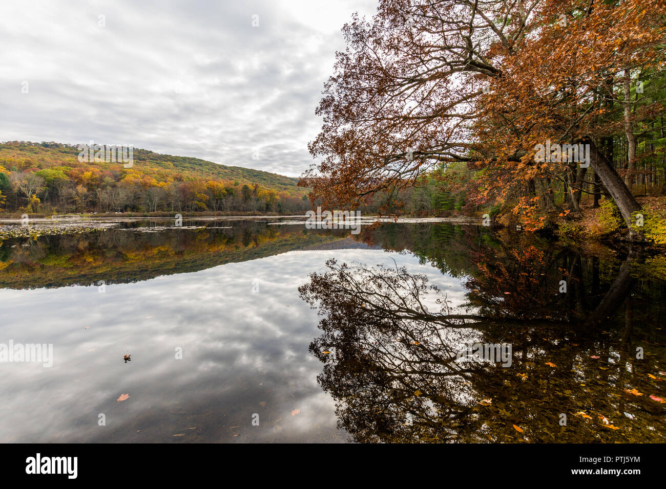 Laurel Lake Recreational Area in Pine Grove Furnace State Park in ...