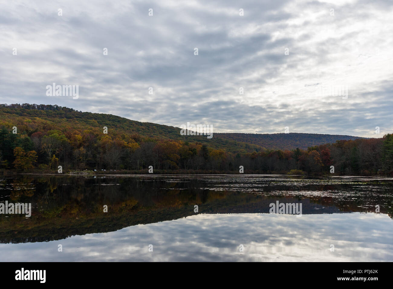Laurel Lake Recreational Area in Pine Grove Furnace State Park in ...