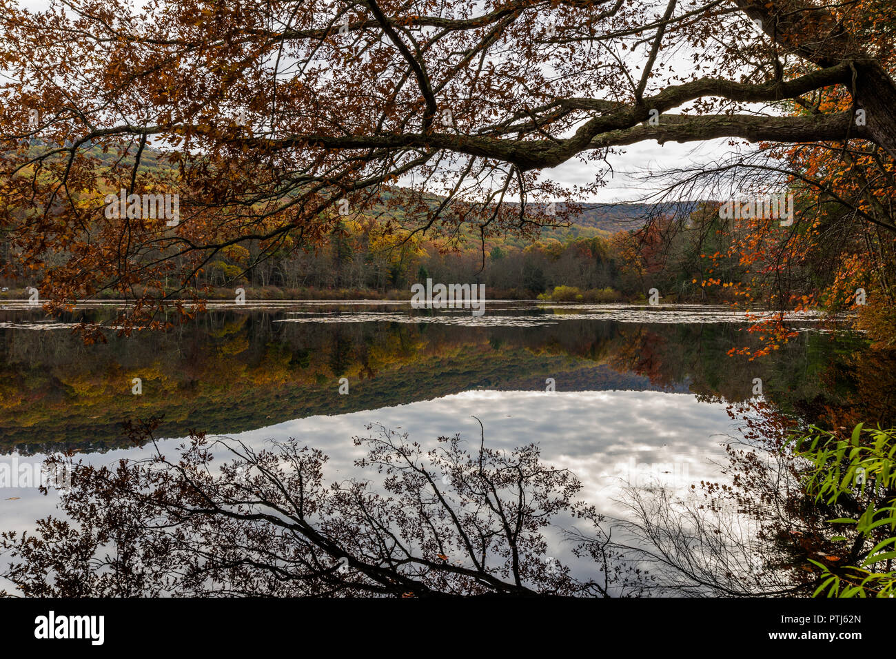 Laurel Lake Recreational Area in Pine Grove Furnace State Park in ...