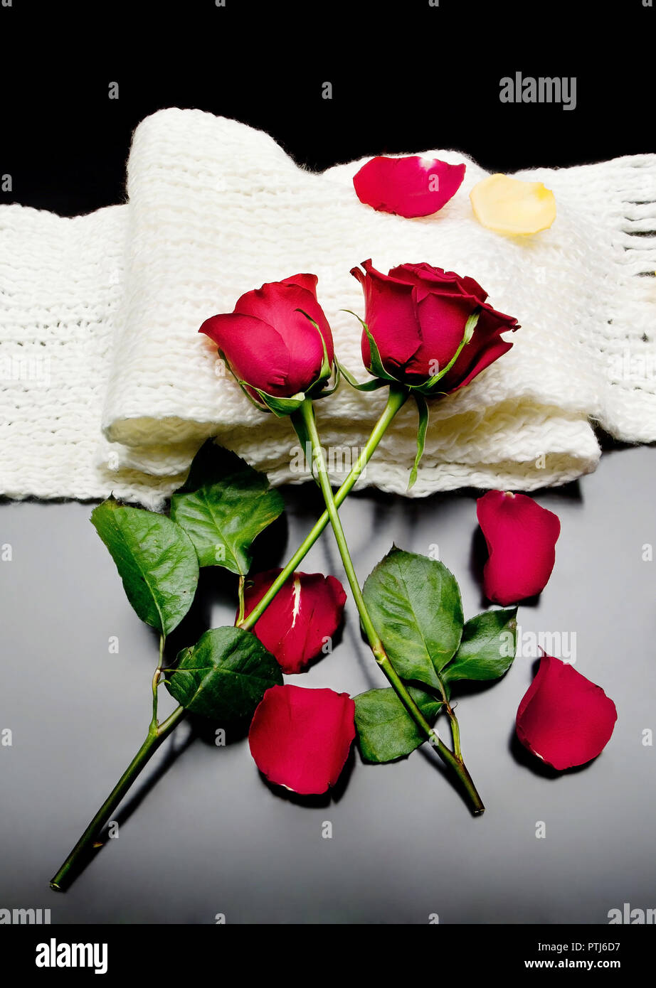 Two Red Roses Images