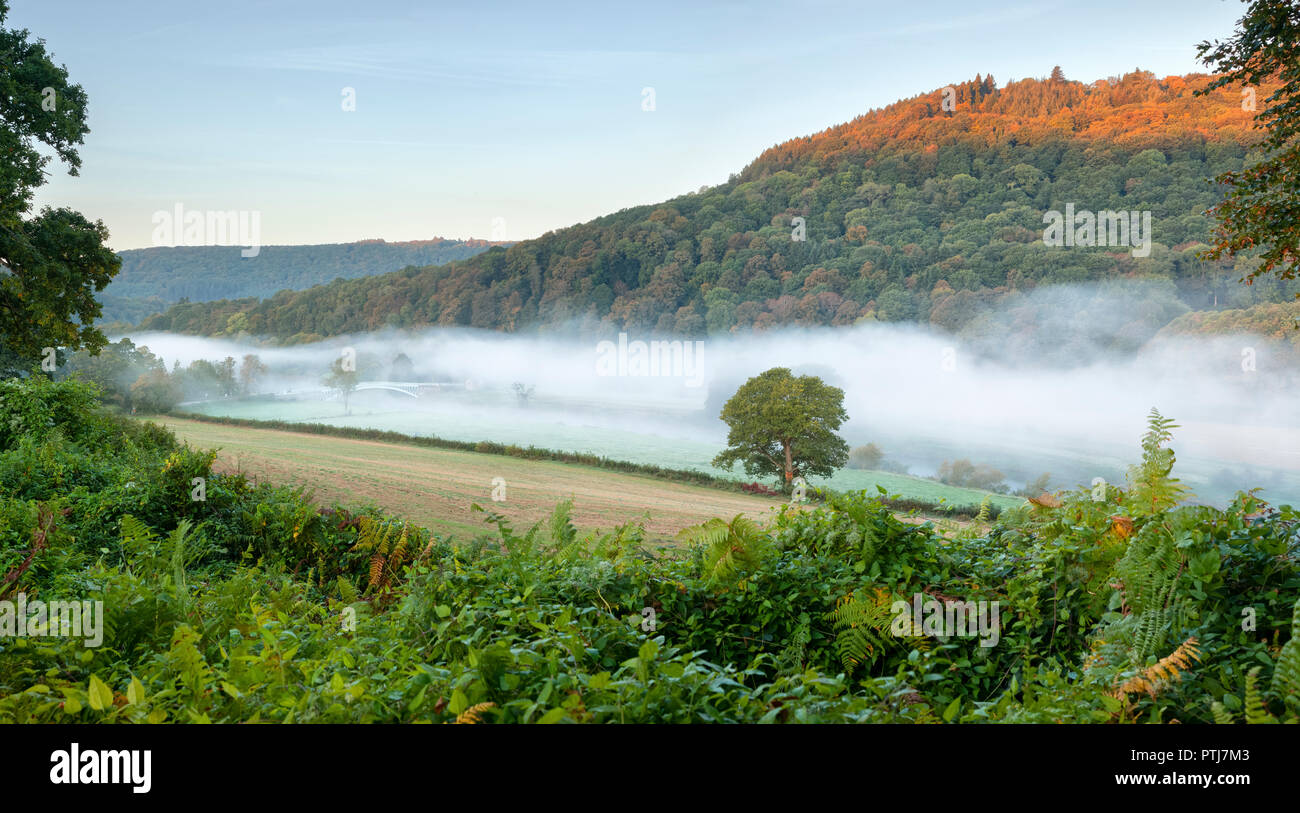 The wye valley river mist hi-res stock photography and images - Alamy
