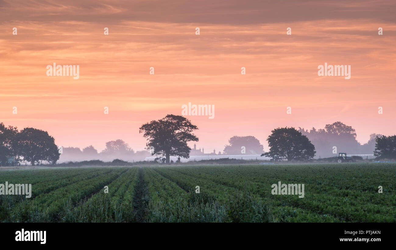 Suffolk england countryside dedham hi-res stock photography and images ...