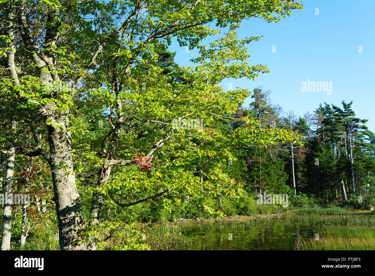 Acadia national park sign hi-res stock photography and images - Alamy
