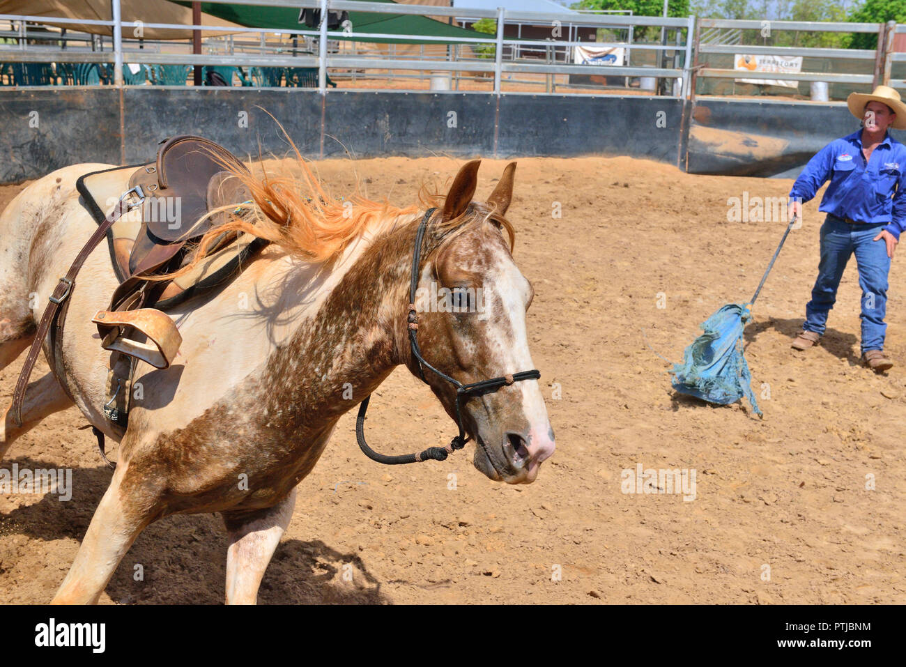 Tom Curtain the singing cowboy performing in his Outback Experience ...