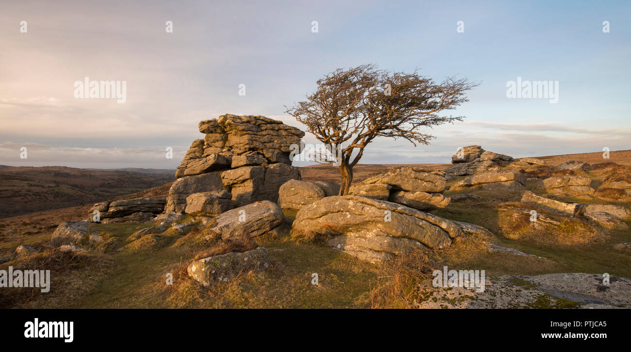 Haytor rock sunset hi-res stock photography and images - Alamy