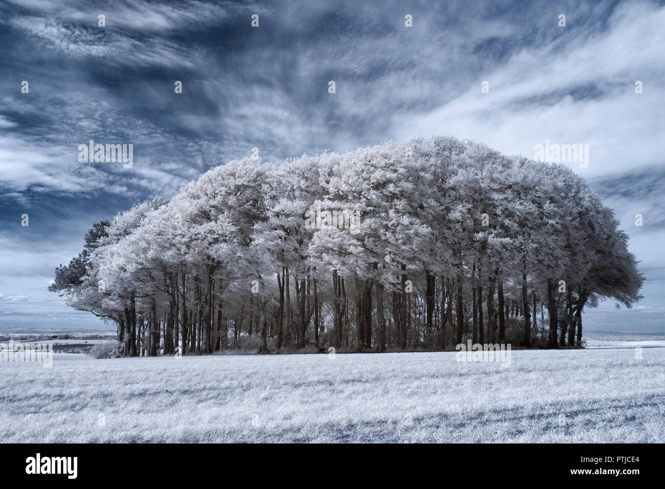 Infrared red blue hi-res stock photography and images - Alamy