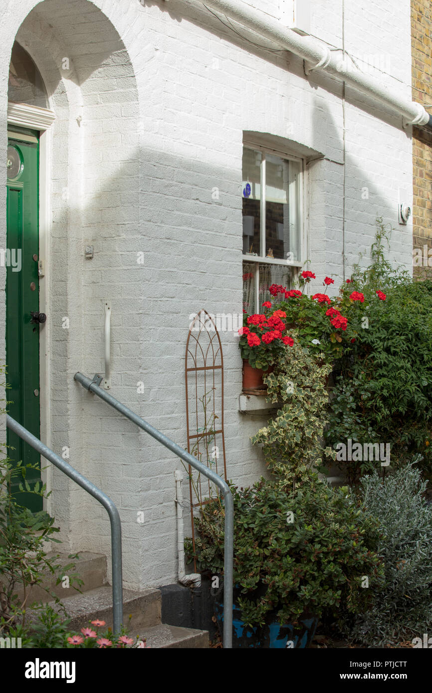 Narrow walkway along plants on the terrace of a modern house Stock ...