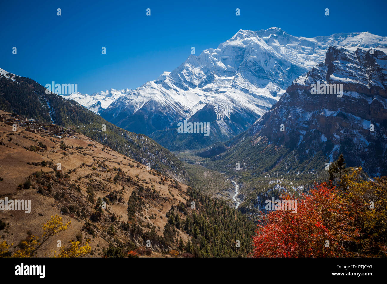 Looking down the valley towards Annapurna Stock Photo - Alamy