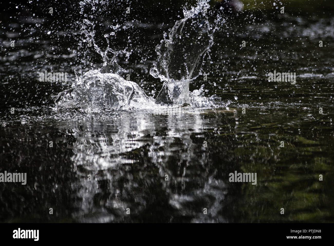 Bouncing water splash hi-res stock photography and images - Alamy