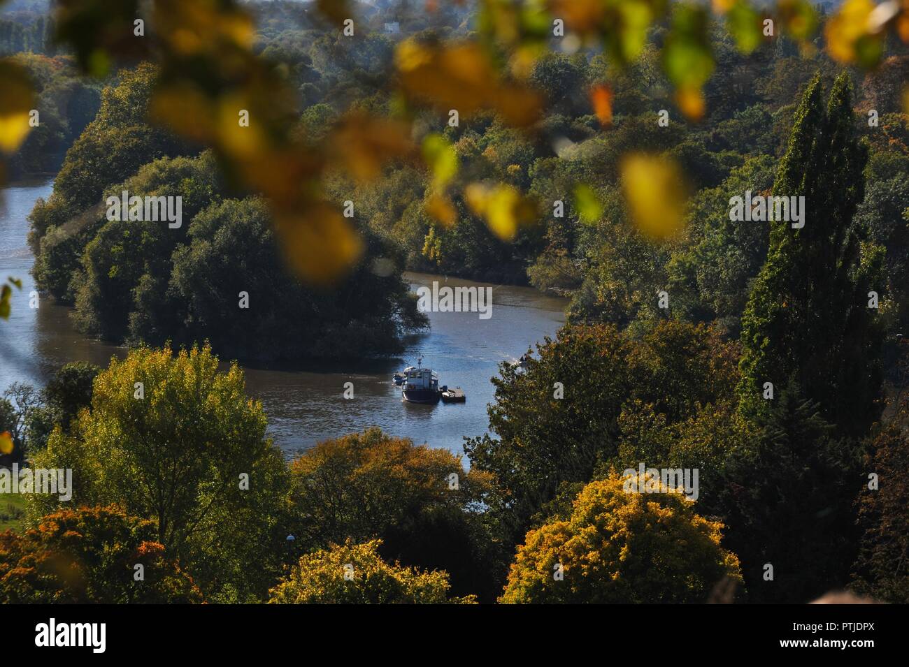 View of River Thames from Richmond Hill, autumn 2018 Stock Photo - Alamy