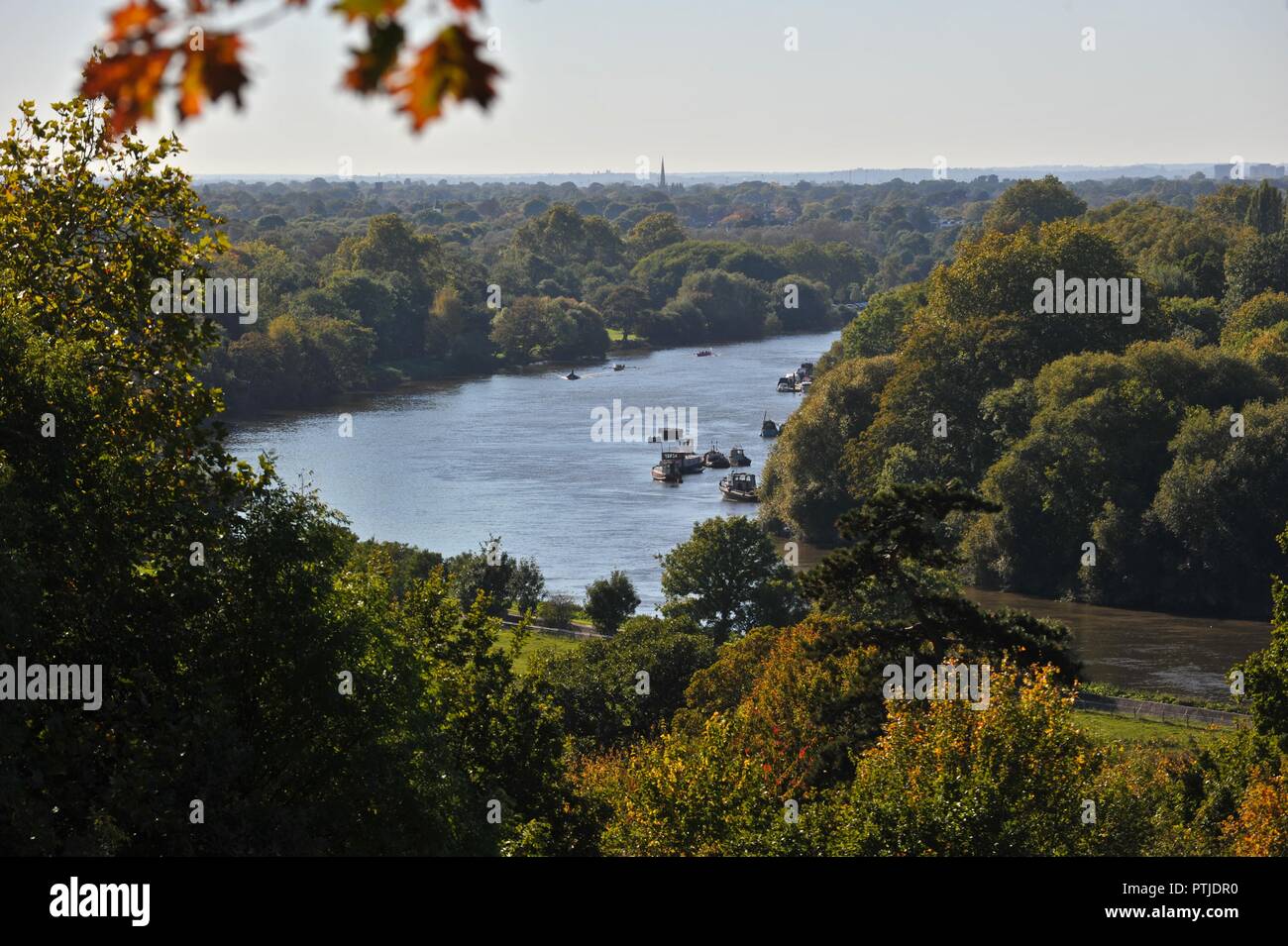 View of River Thames from Richmond Hill, autumn 2018 Stock Photo - Alamy