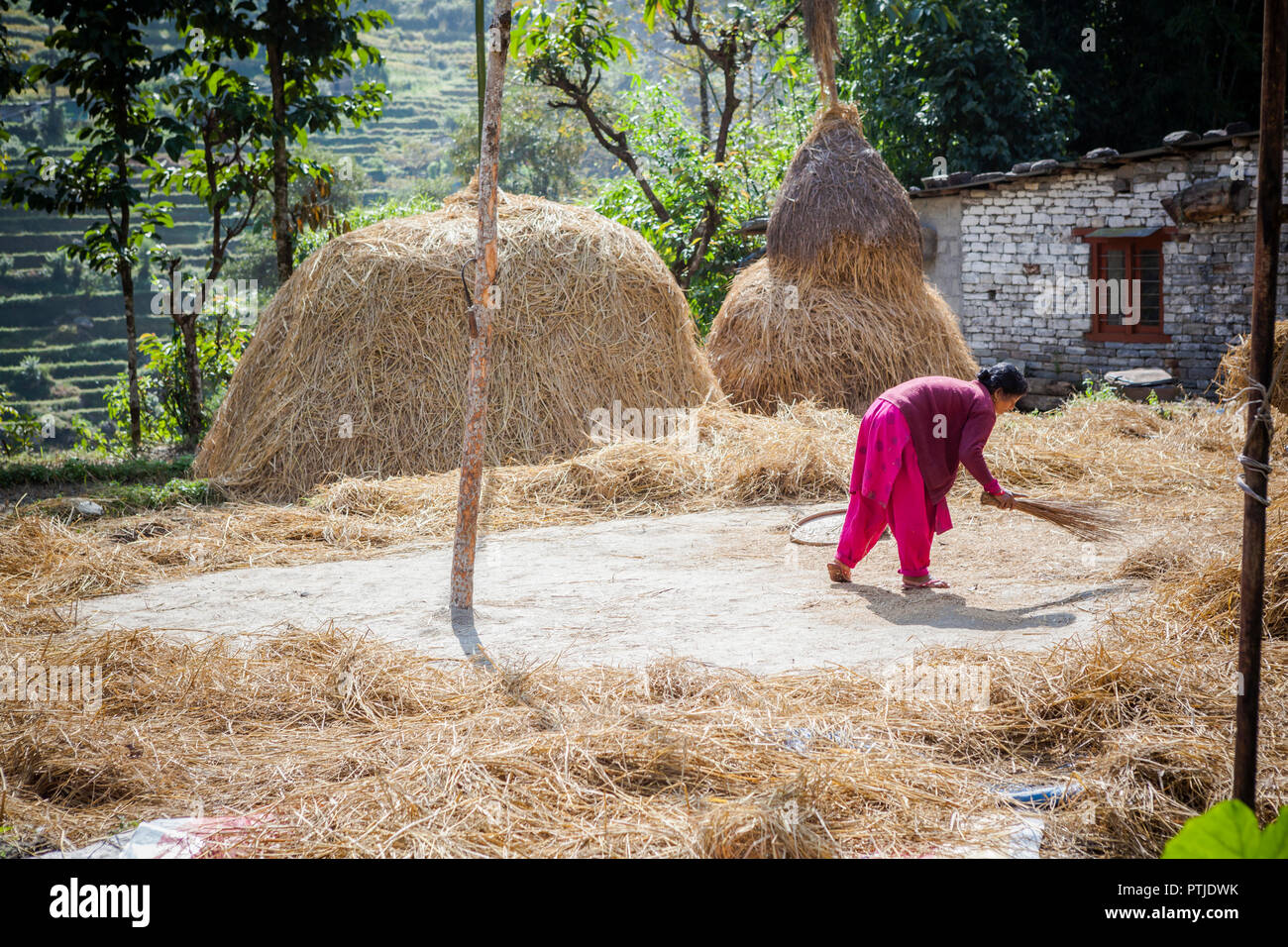 Girl sweeping hi-res stock photography and images - Alamy