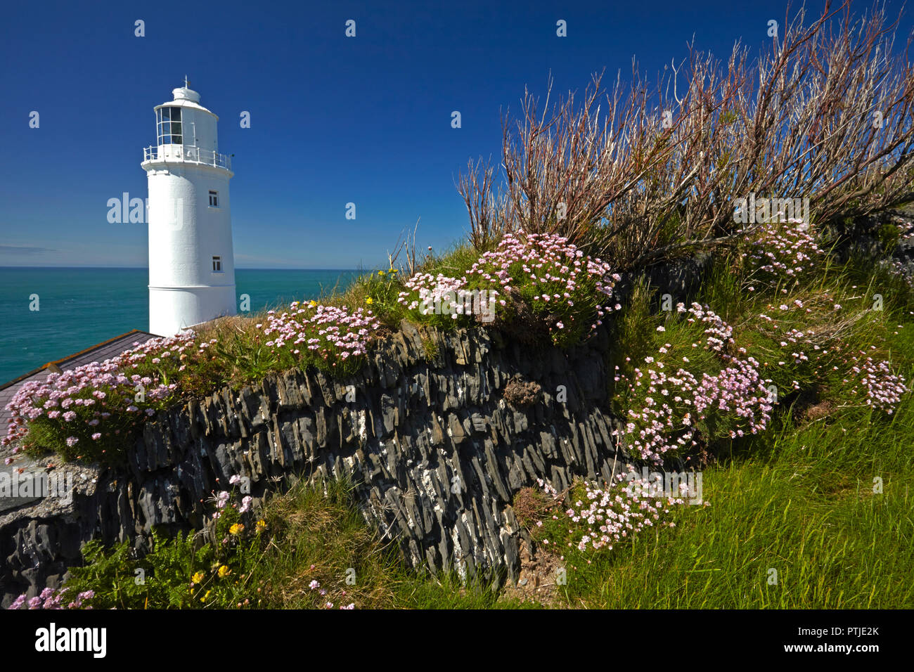 The lighthouse at Trevose Head on the north Cornish coast Stock Photo ...