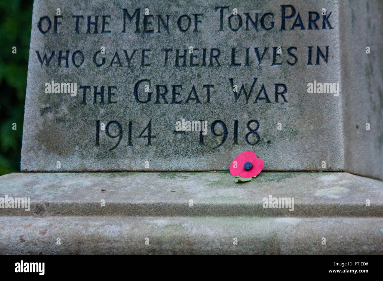 A single red poppy at the base of a first world war memorial Stock ...