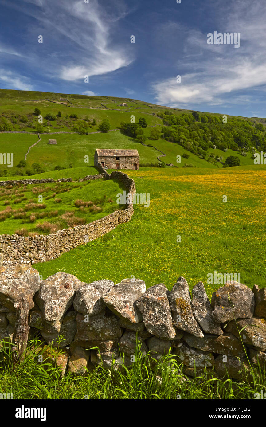 A barn and drystone wall at Keld in Swaledale Stock Photo - Alamy