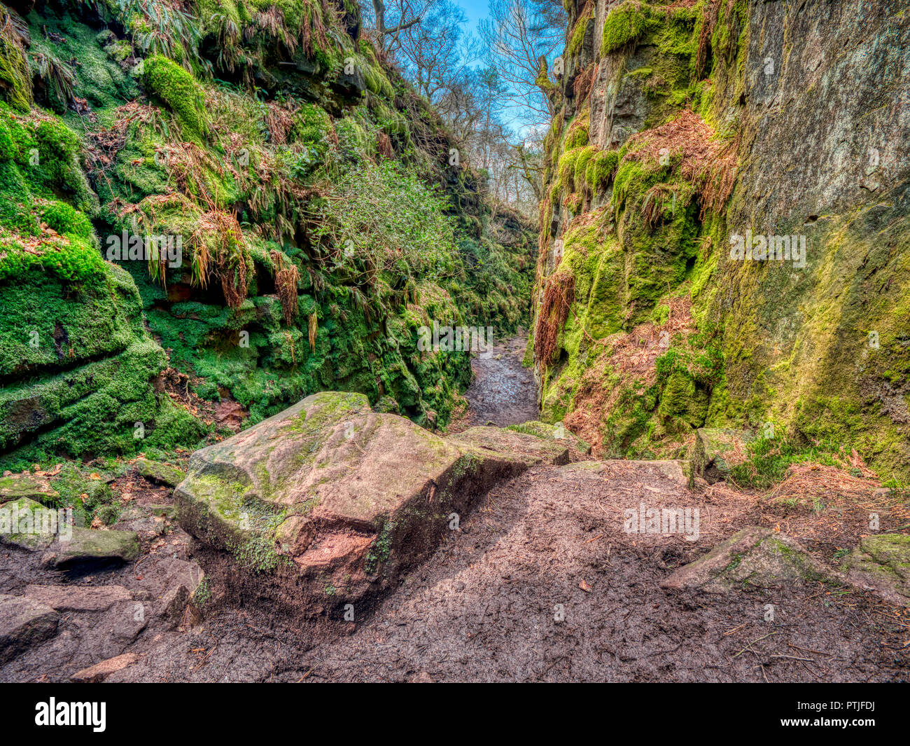 Lud's Church the deep Millstone Grit moss-covered chasm full of history ...
