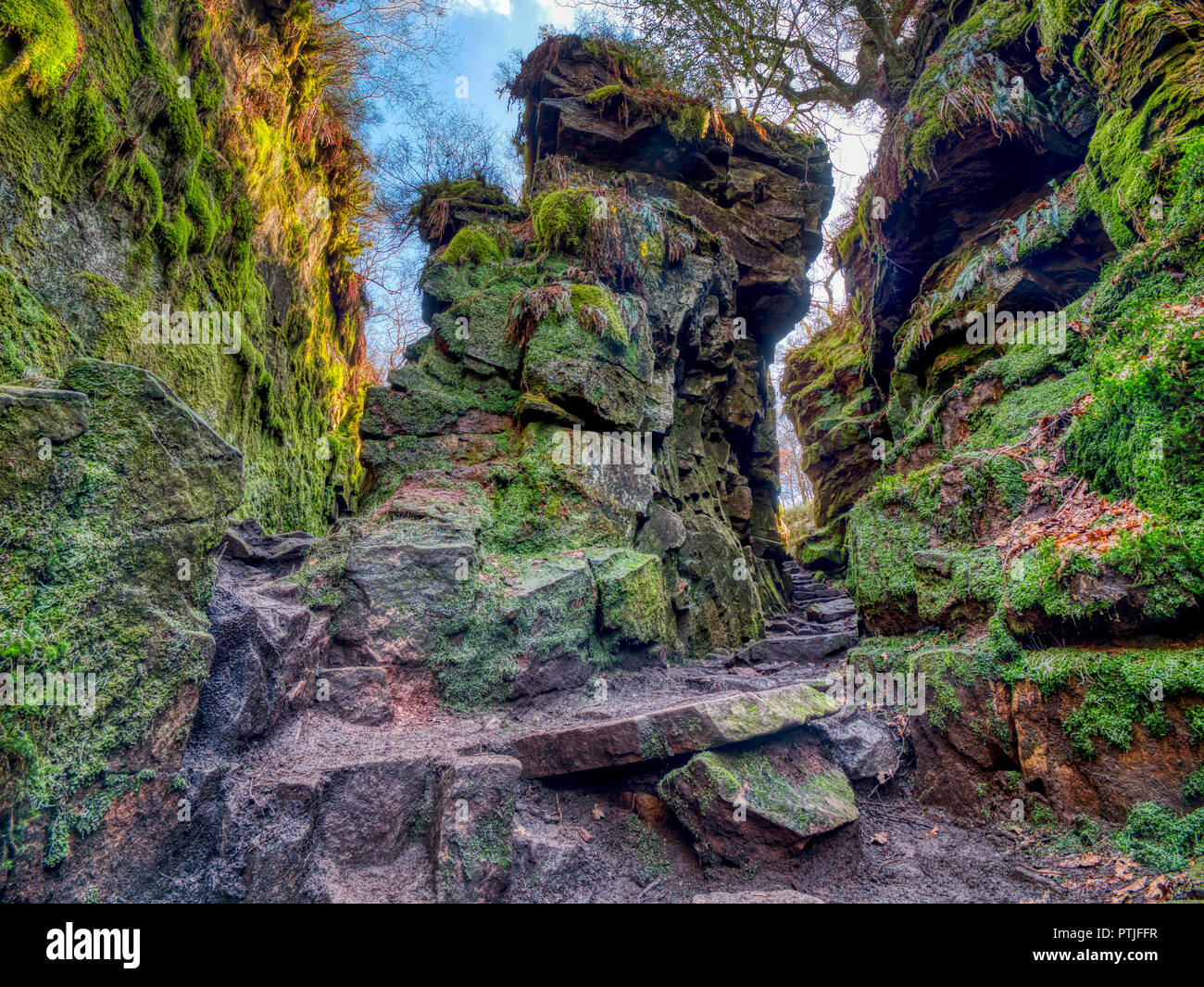 Lud's Church the deep Millstone Grit moss-covered chasm full of history ...