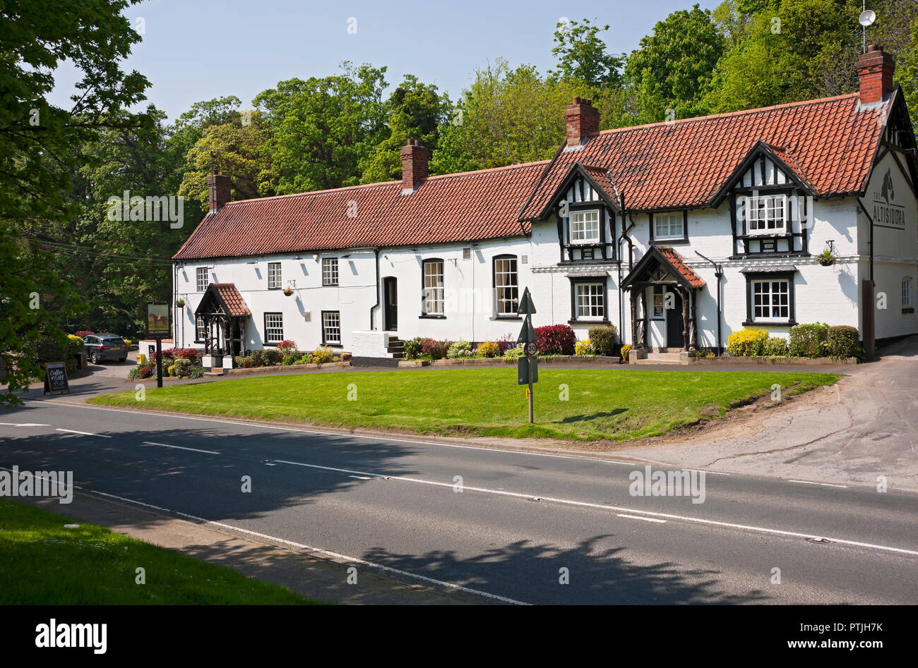 Altisidora pub hi-res stock photography and images - Alamy