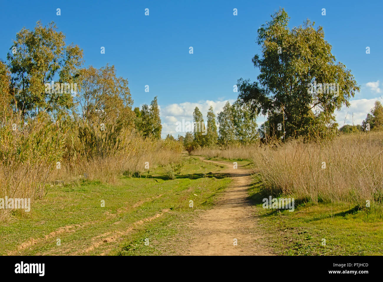 Dirt meets road hi-res stock photography and images - Alamy