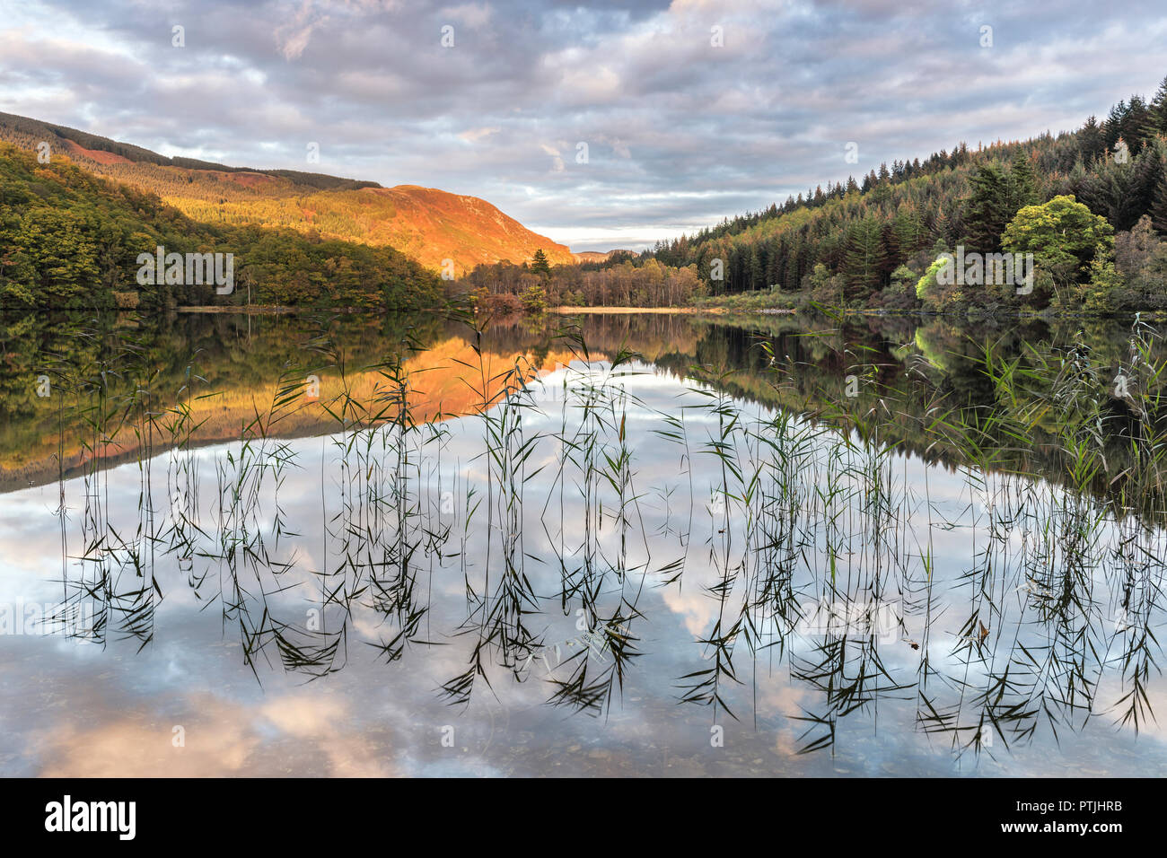 Loch lomond and trossachs autumn hi-res stock photography and images ...