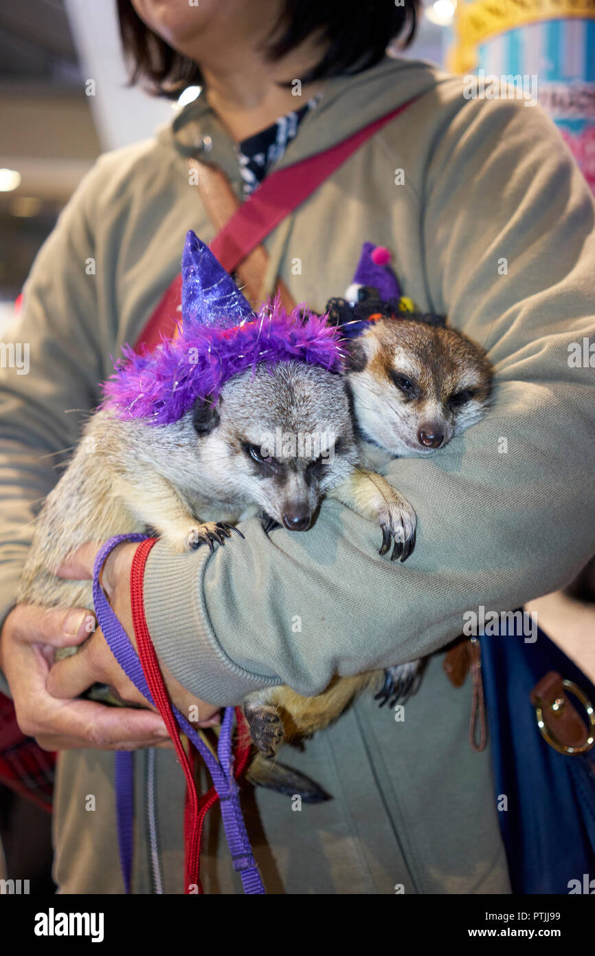 Fancy dressing hi-res stock photography and images - Alamy