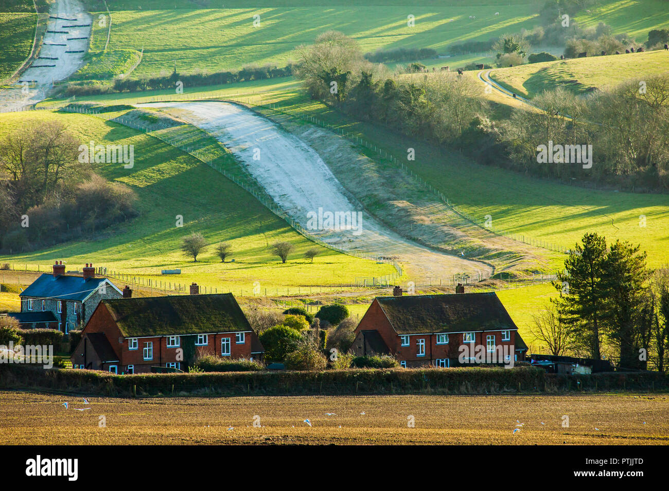 Early spring in South Downs National Park Stock Photo - Alamy